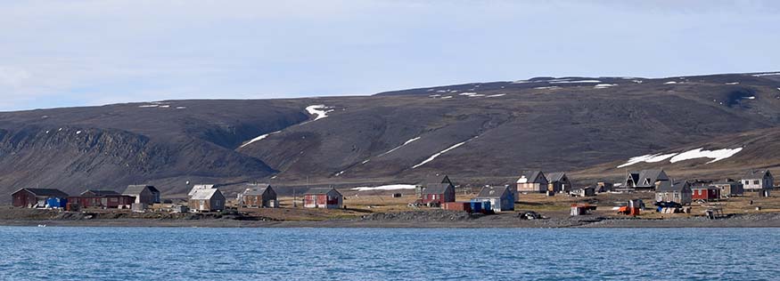 Bailey’s blog: Climbing cliffs and trapping birds | Augustana College